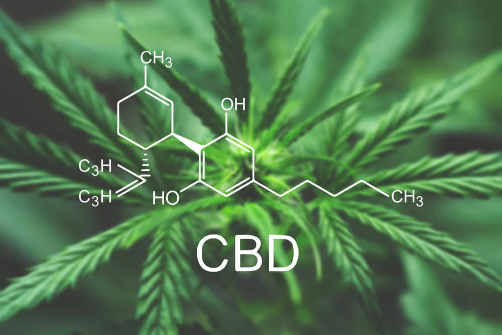 The Complete Guide to CBD: What It Is, Benefits, and Forms – The Vape Queen